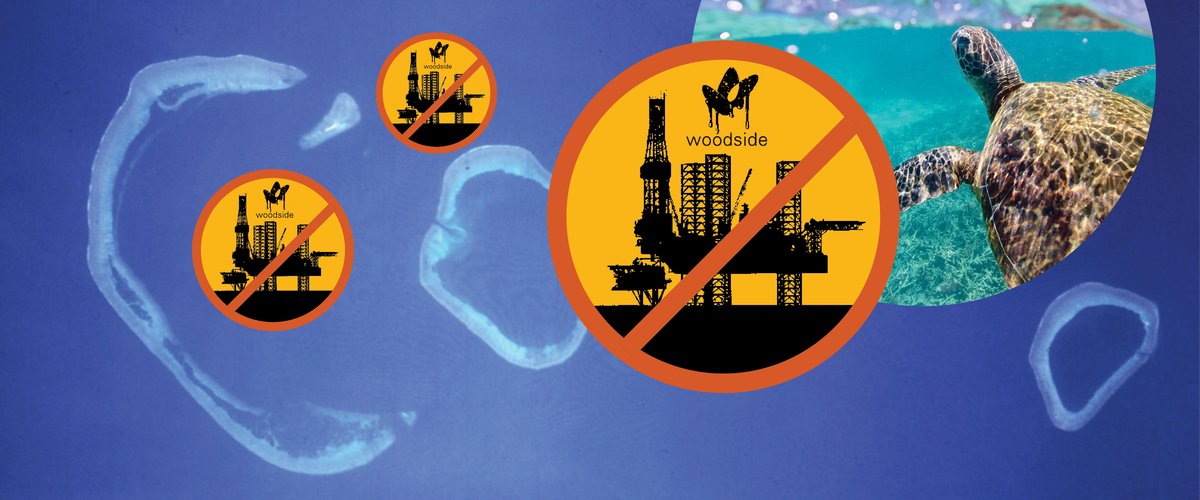 Protect endangered marine life from gas drilling | Don't Drill on Scott ...